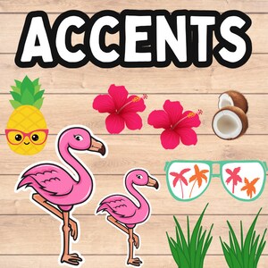Tropical Flamingo Bulletin Board Kit L Back to School L Flamingo Class ...