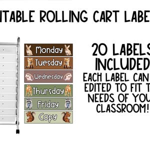 Woodland Bulletin Board Bundle | Forest Animal Classroom Decor | Rustic ...