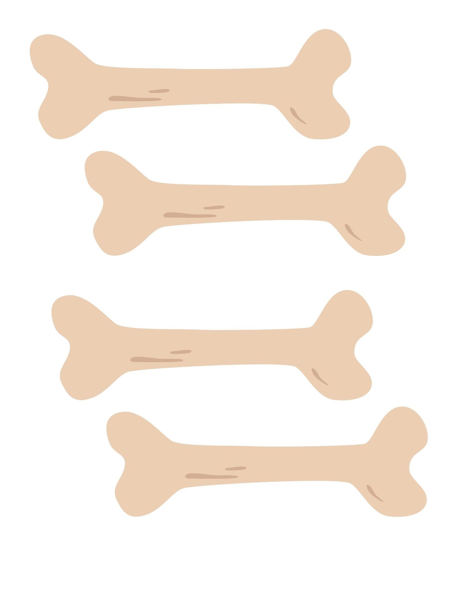 Dinosaur Bulletin Board Kit for New Years L January Dinosaur Door Decor ...