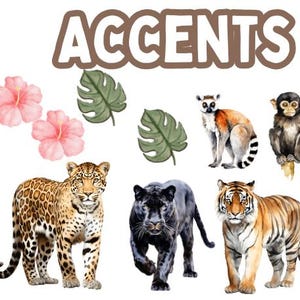 Jungle Bulletin Board Kit L Jungle Bulletin Board Set L Jungle ...