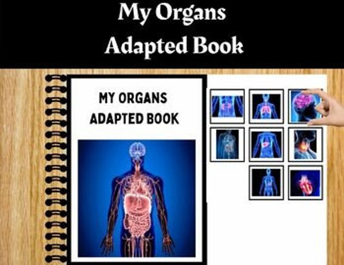 Interactive Science Book Set Pre-k, Kindergarten, Homeschool ...