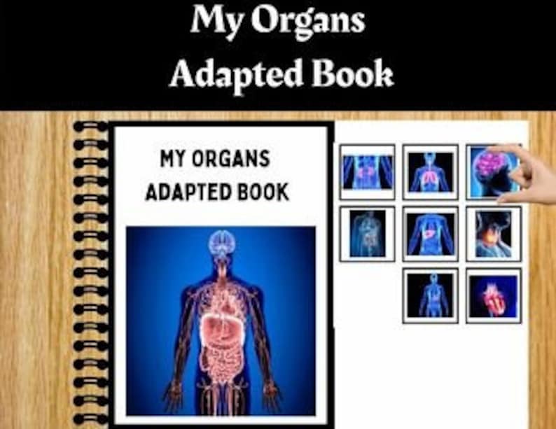 Interactive Science Book Set Pre-k Kindergarten Homeschool - Etsy