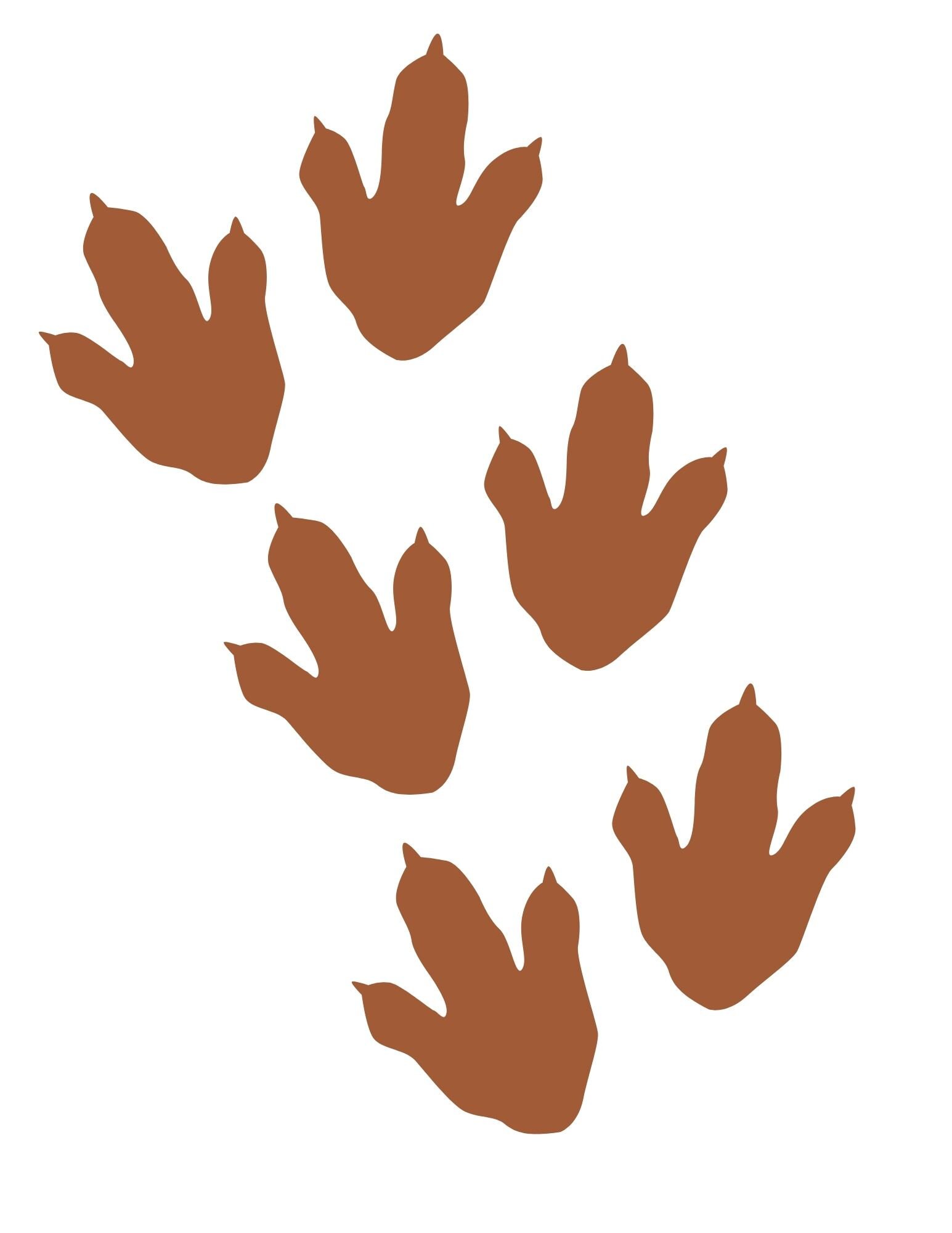 Dinosaur Bulletin Board Kit for New Years L January Dinosaur Door Decor ...