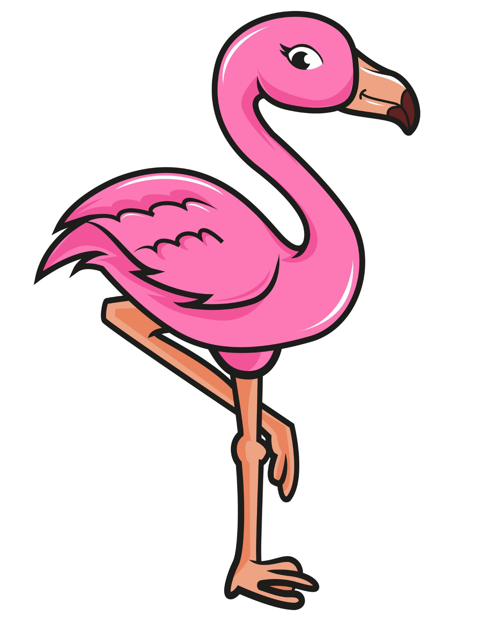 Tropical Flamingo Bulletin Board Kit L Back to School L Flamingo Class ...