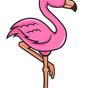 Tropical Flamingo Bulletin Board Kit L Back to School L Flamingo Class ...