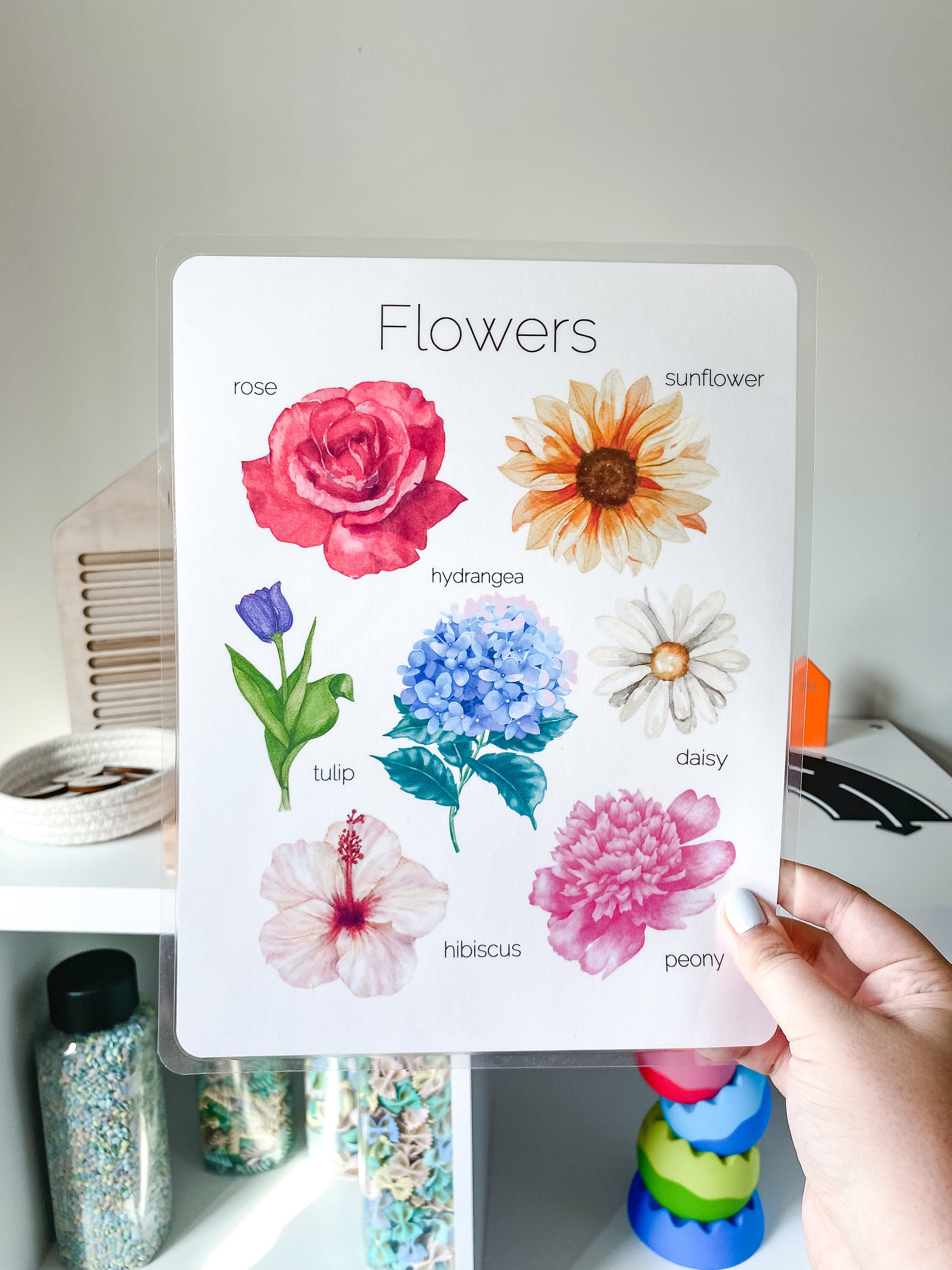 Watercolor Flower Poster - Montessori Inspired - Etsy