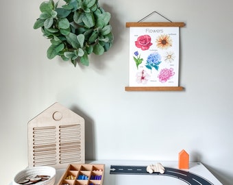 Watercolor Seashell Poster Montessori Inspired - Etsy