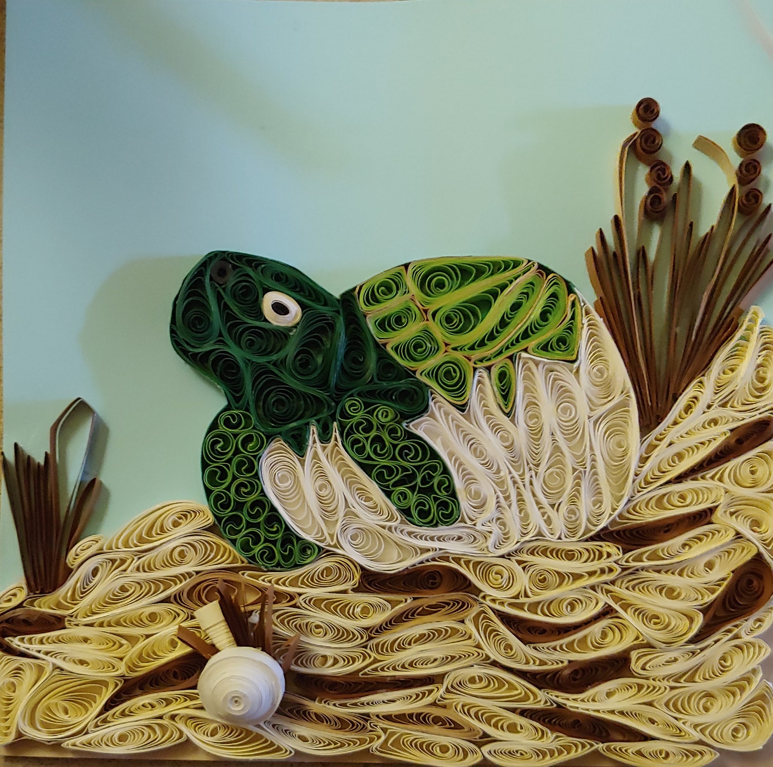Quilling, Beach, Shells, Marine Animals,marine,life, Fish Shark, Whale ...