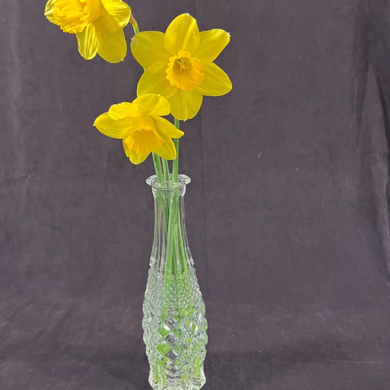 Single Flower Vase - Etsy
