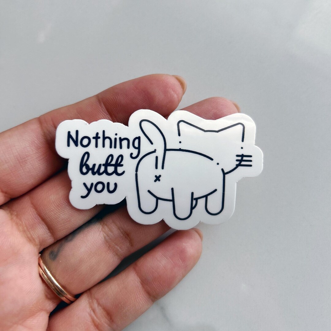 Funny Minimalist Kitty Sticker, Humerous Cat Meme Stickers, Quirky Pet ...