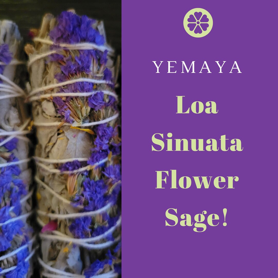 Yemaya Loa Sinuata Flower Sage - Etsy