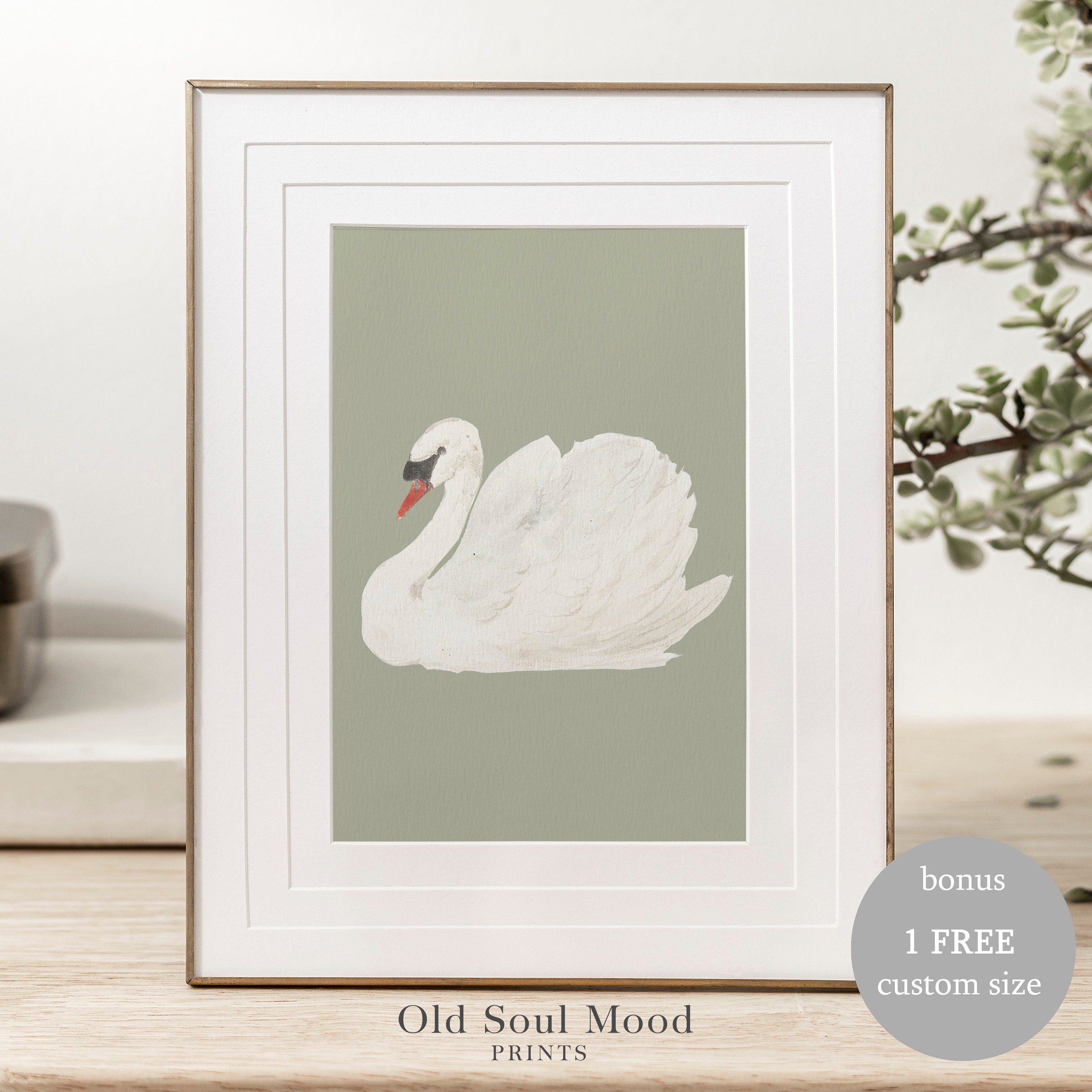 White Swan Vintage Painting, Sage Grey Oil Painting, Black Swan Art ...