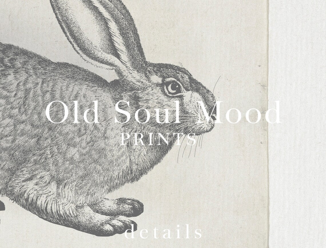 Vintage Rabbit Drawing Bunny Sketch Easter Wall Art | Etsy