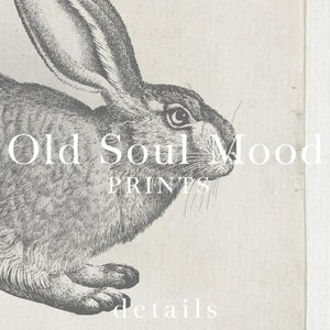 Vintage Rabbit Drawing, Bunny Sketch, Easter Wall Art, PRINTABLE ...