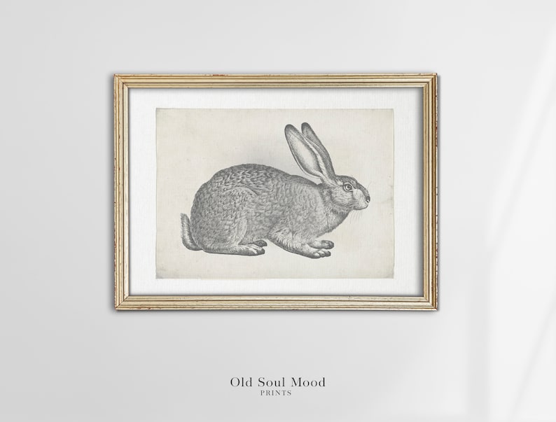 Vintage Rabbit Drawing Bunny Sketch Easter Wall Art - Etsy