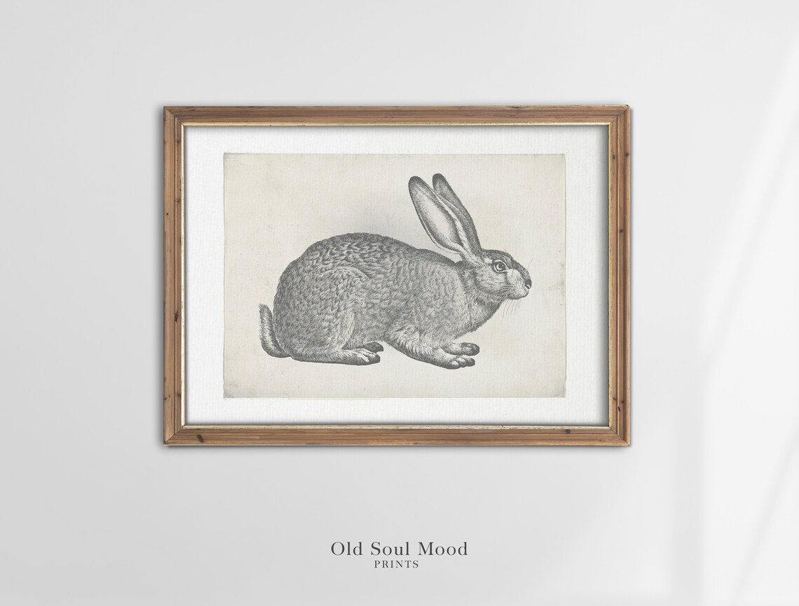 Vintage Rabbit Drawing Bunny Sketch Easter Wall Art | Etsy