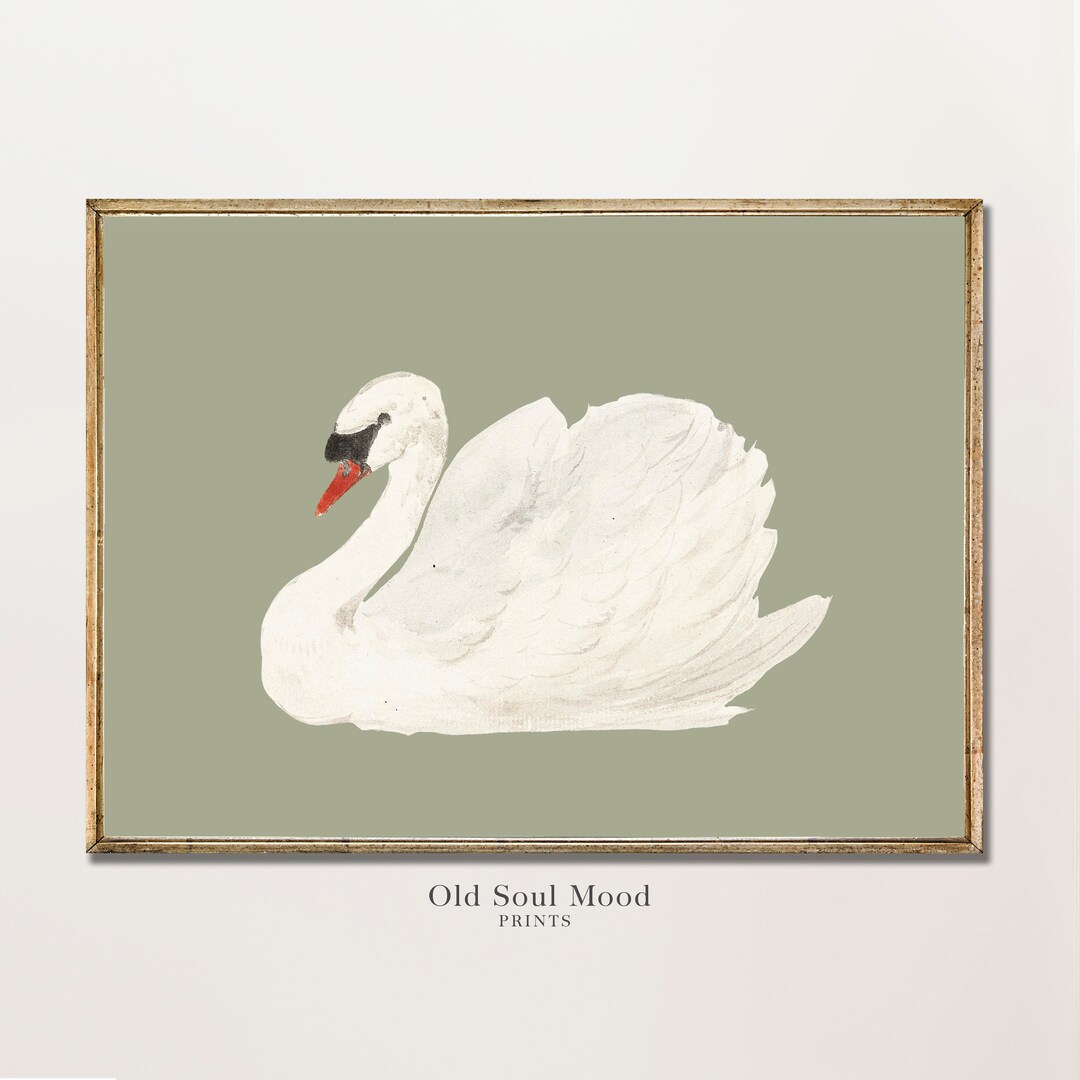 White Swan Vintage Painting, Sage Grey Oil Painting, Black Swan Art ...