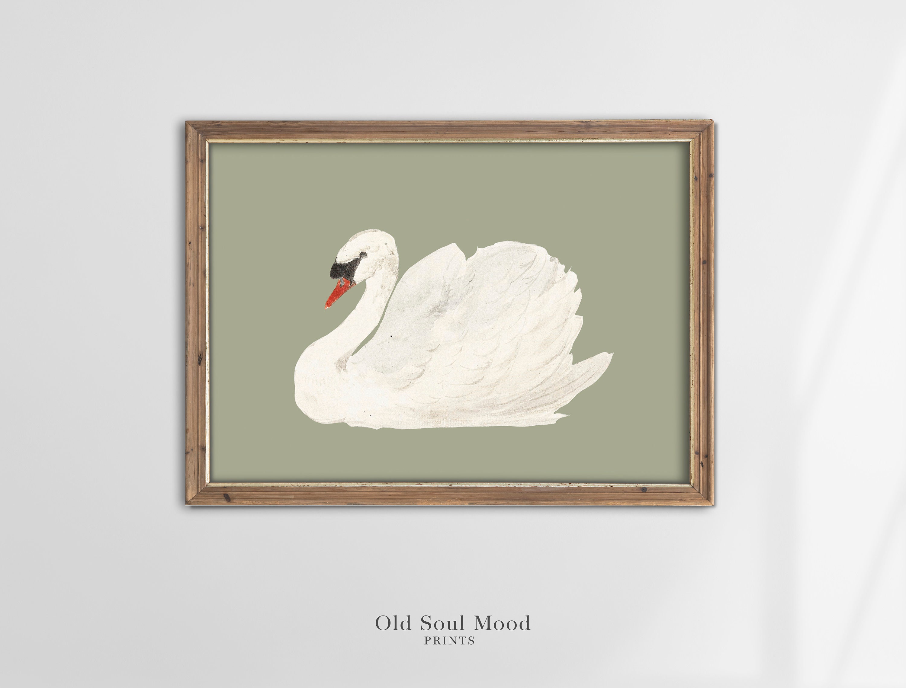 White Swan Vintage Painting, Sage Grey Oil Painting, Black Swan Art ...