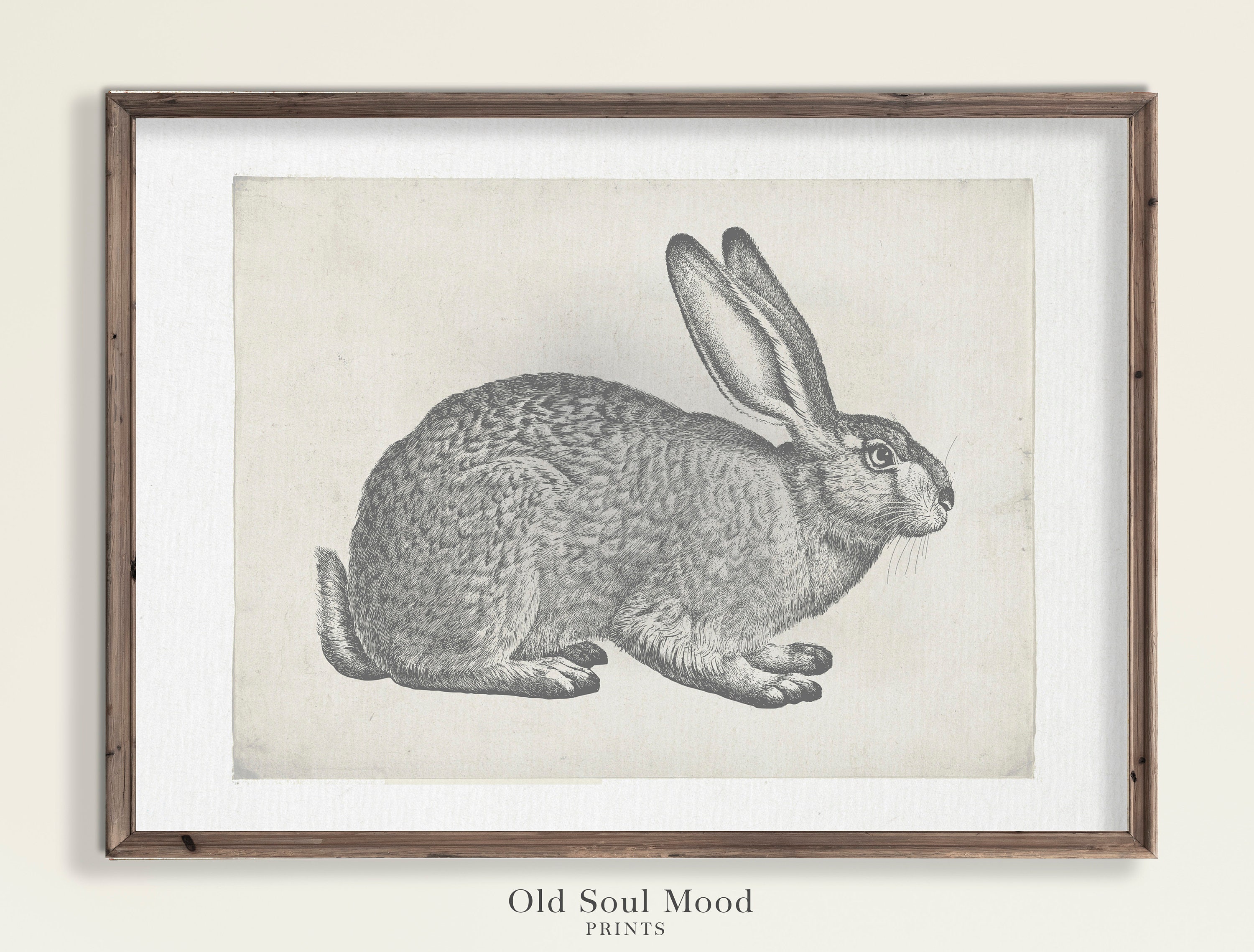 Vintage Rabbit Drawing, Bunny Sketch, Easter Wall Art, PRINTABLE ...