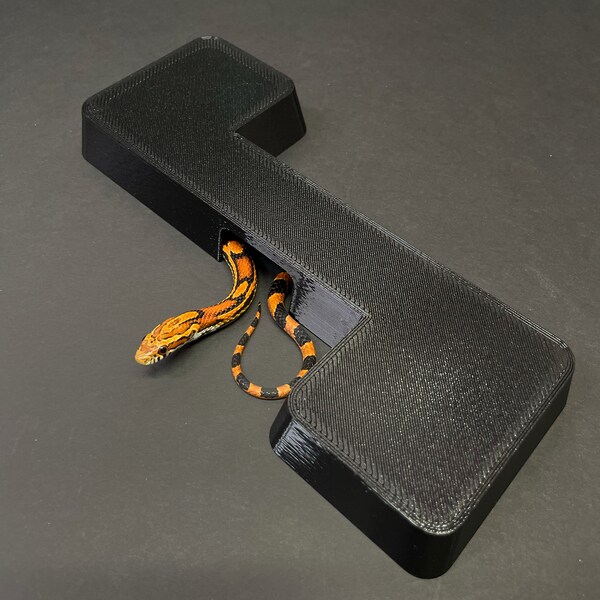 Large Snake Hide - Etsy