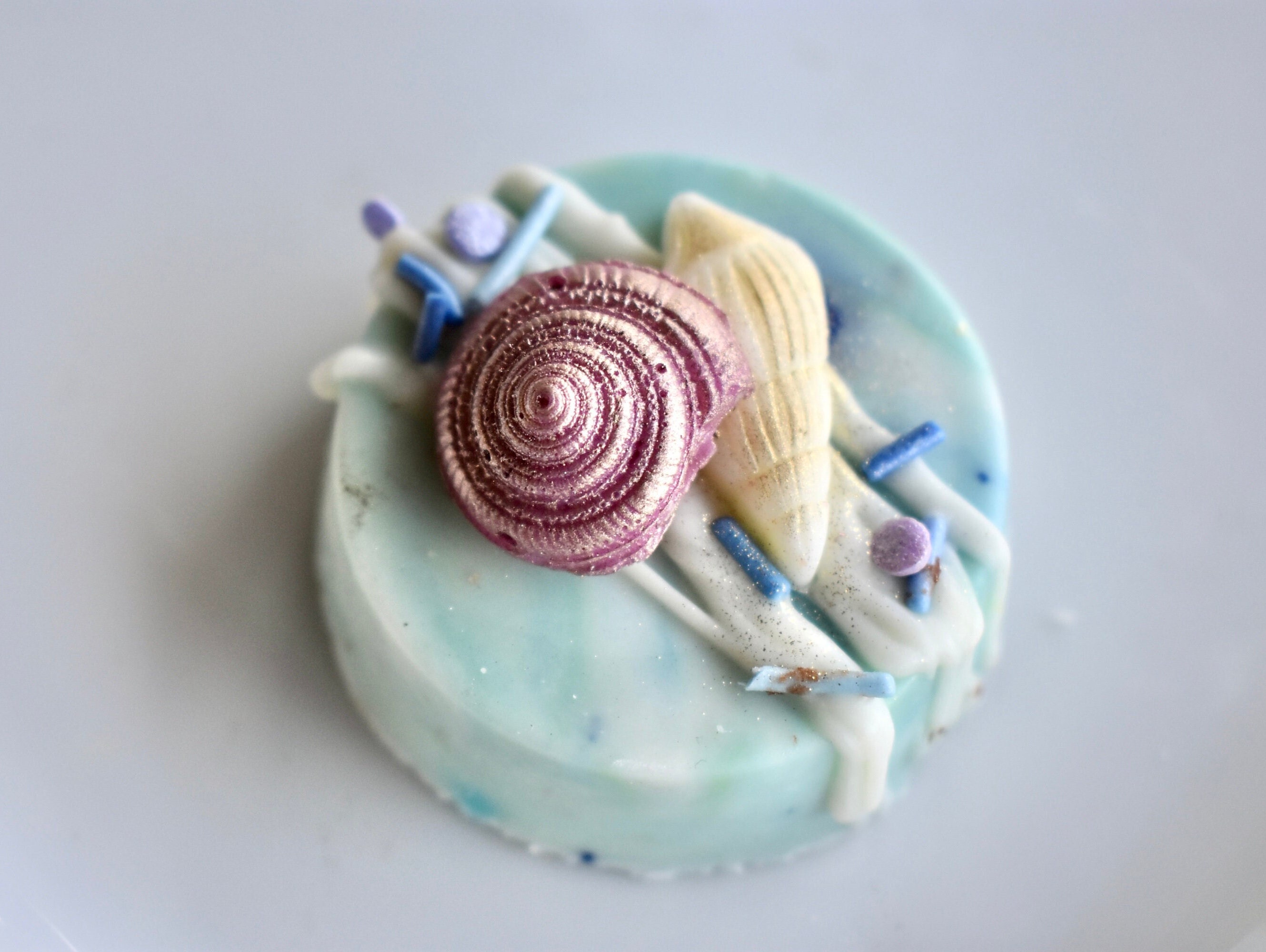 Beach Themed Shell Cookies Chocolate Covered Oreos Gift Box, Gift for ...