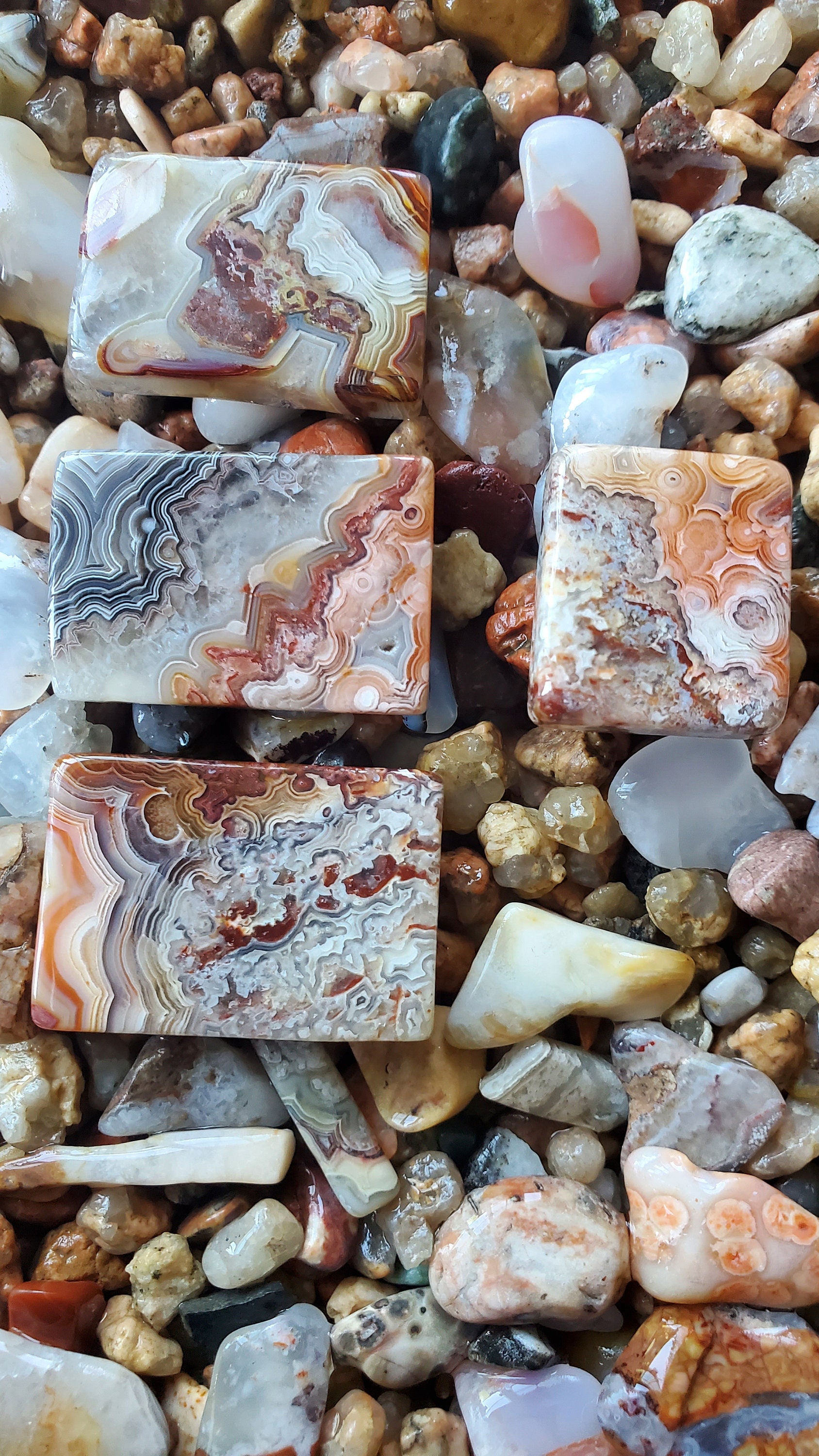 Laguna Crazy Lace Agate (tumbled Shapes) - Etsy