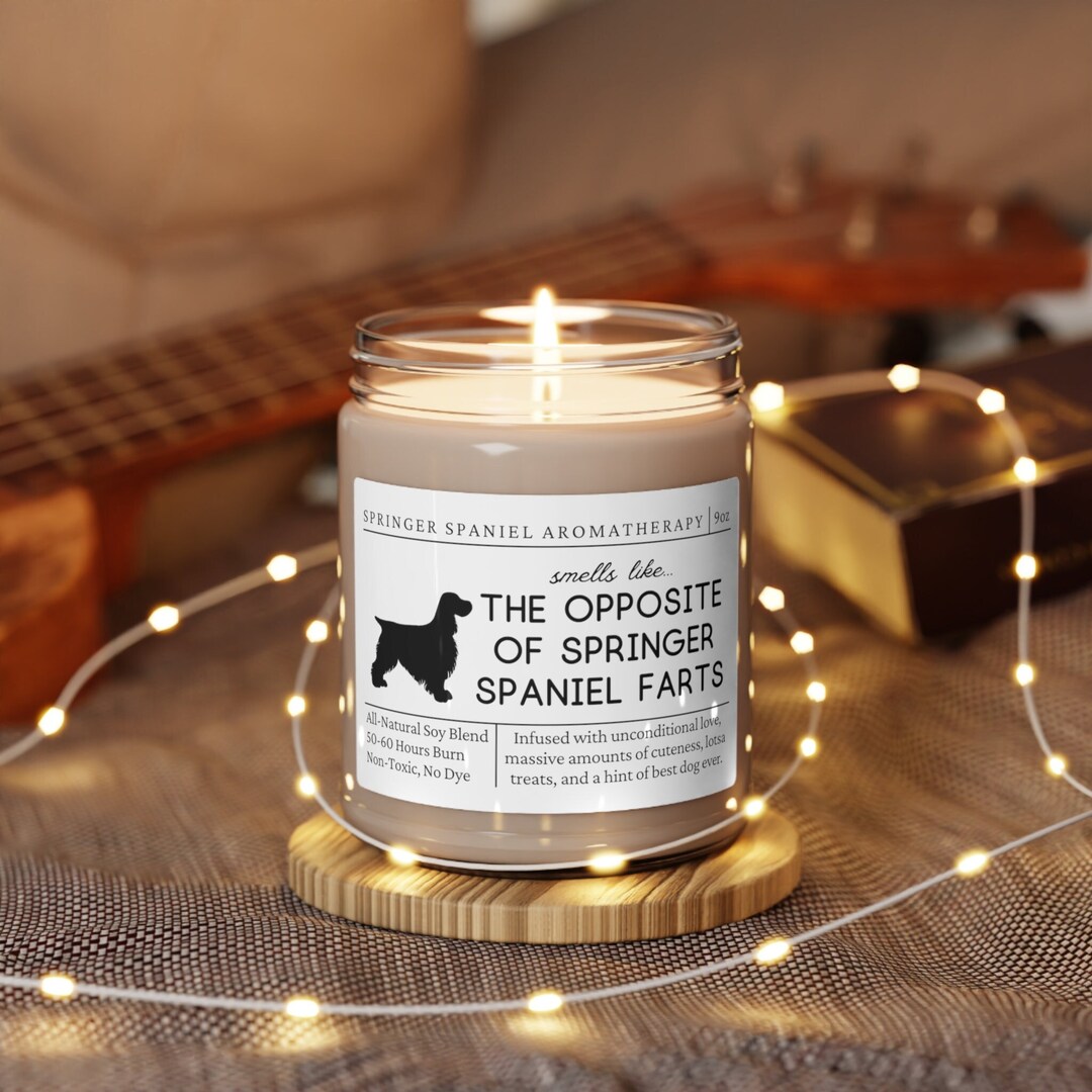 Springer Spaniel Gifts, Springer Spaniel Mom, Springer Spaniel Candle ...
