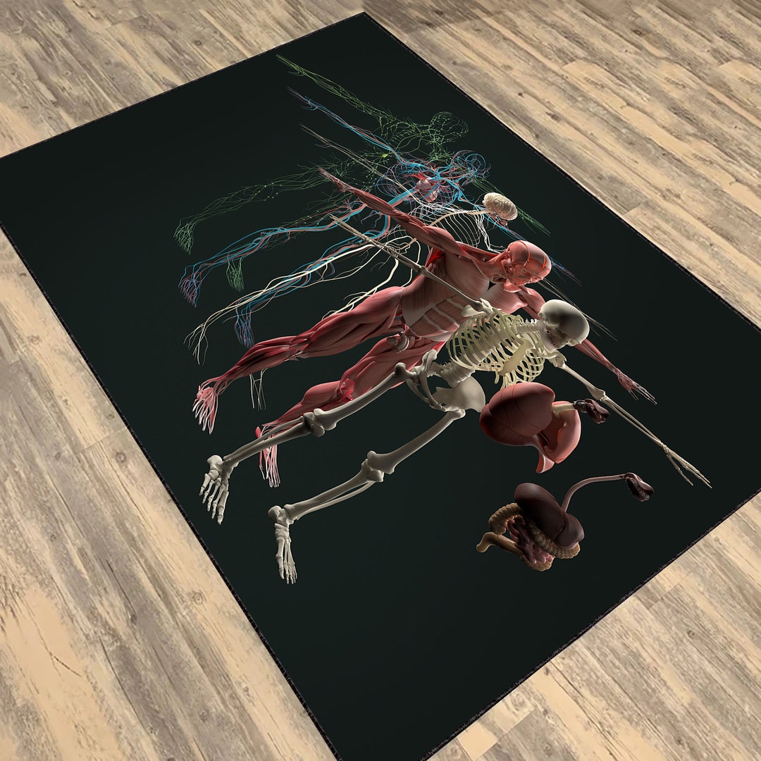 Human Anatomy Exploded View Bone Organs Nervous System - Etsy UK