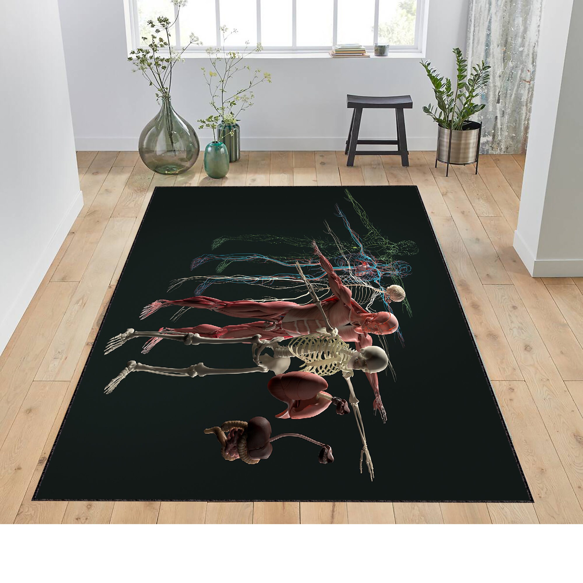 Human Anatomy Exploded View Bone Organs Nervous System - Etsy Canada