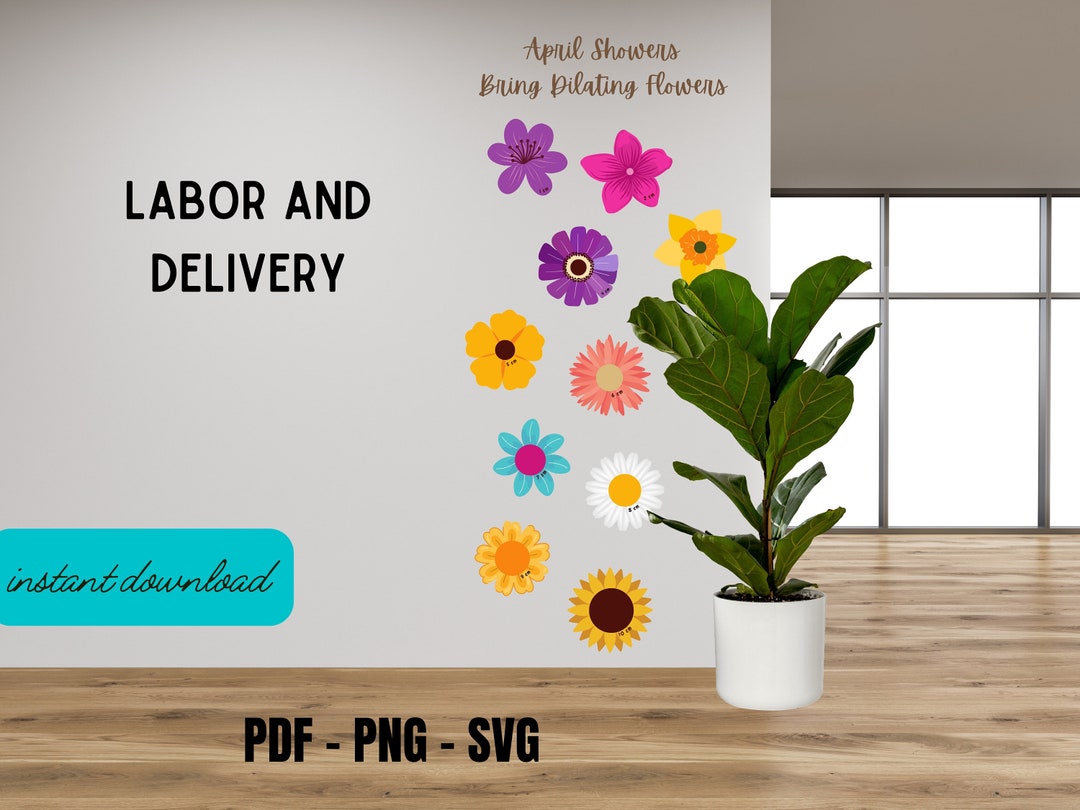 Dilation Flowers: Labor and Delivery Unit - OB-GYN Office- Midwife ...