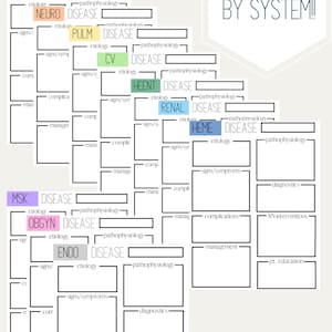 Med Surg Note Template, 10+ Body Systems, Color Coded, Organized by ...