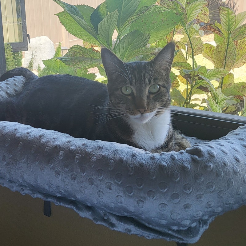 Cat Perch - Etsy