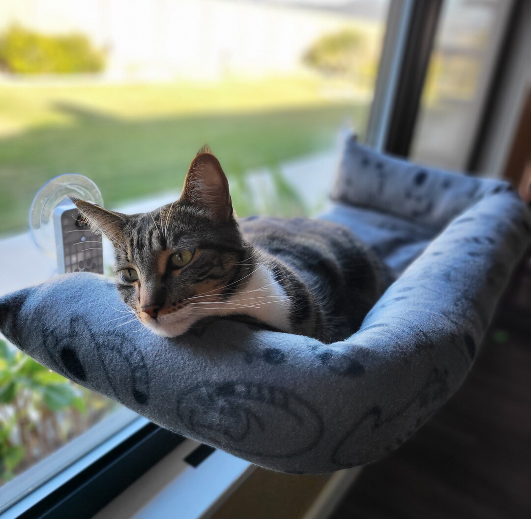 Replacement Cat Window Sill Cover, Rectangle Kitty Padded Bed, Cat ...