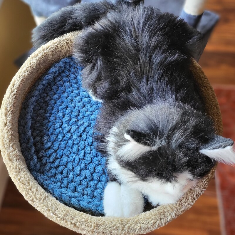 Cat Pipe - Etsy