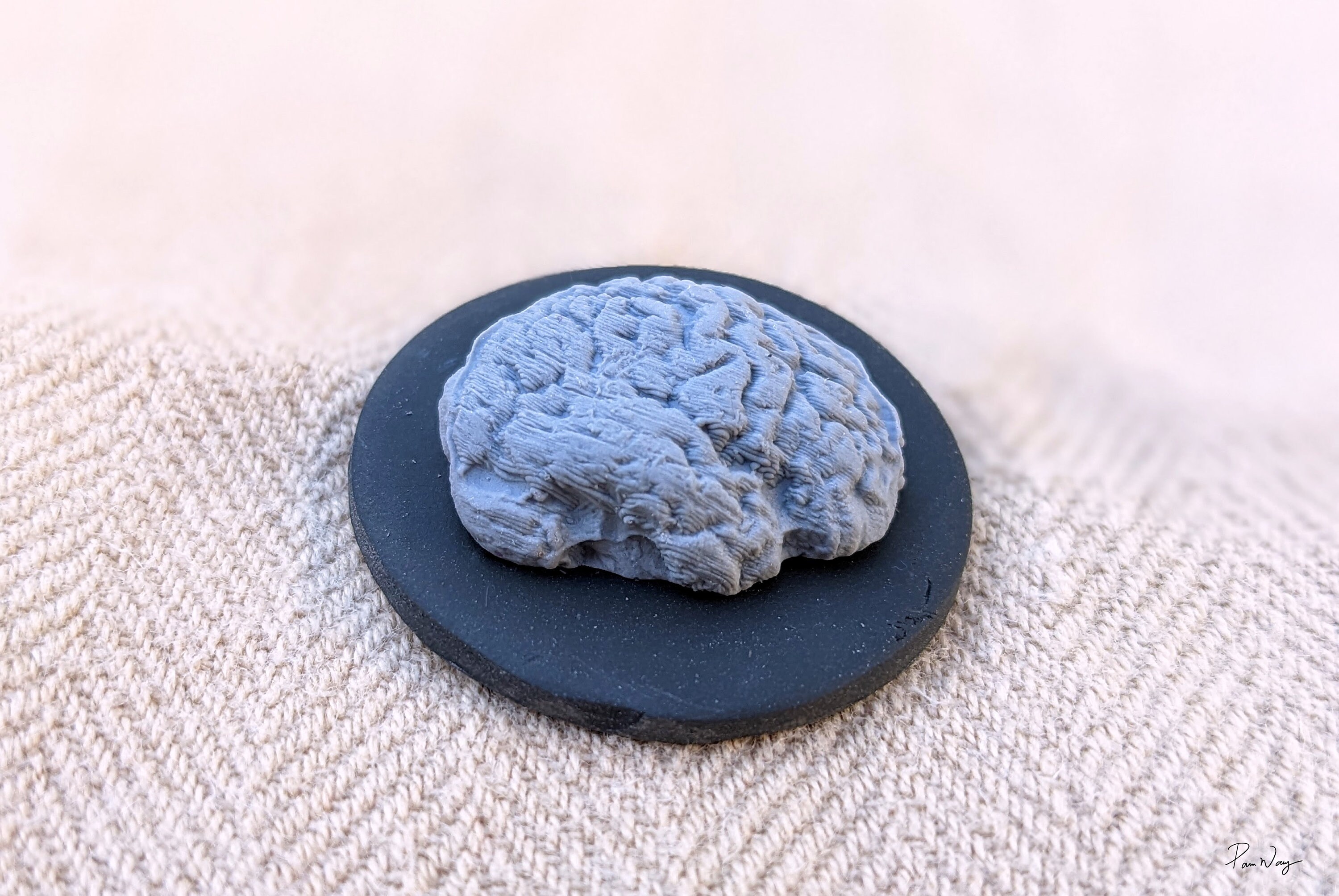 Anatomical Brain Pin/magnet (brain-theme Pin Molded From 3D Printed MRI ...
