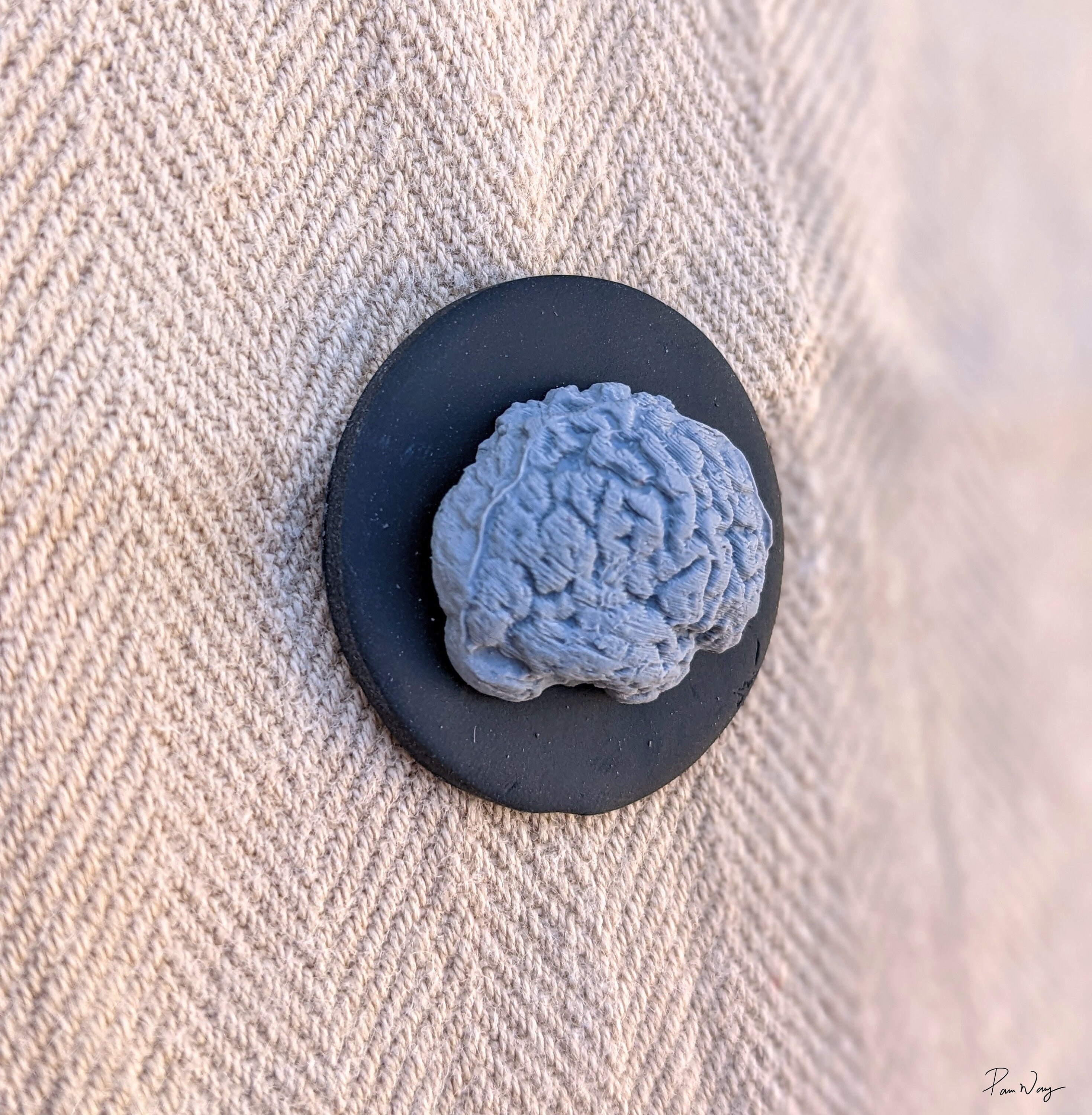 Anatomical Brain Pin/magnet (brain-theme Pin Molded From 3D Printed MRI ...
