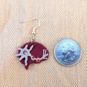 Neuron Earrings (a Neuron on Brain-shape Clay! Perfect Gifts for ...