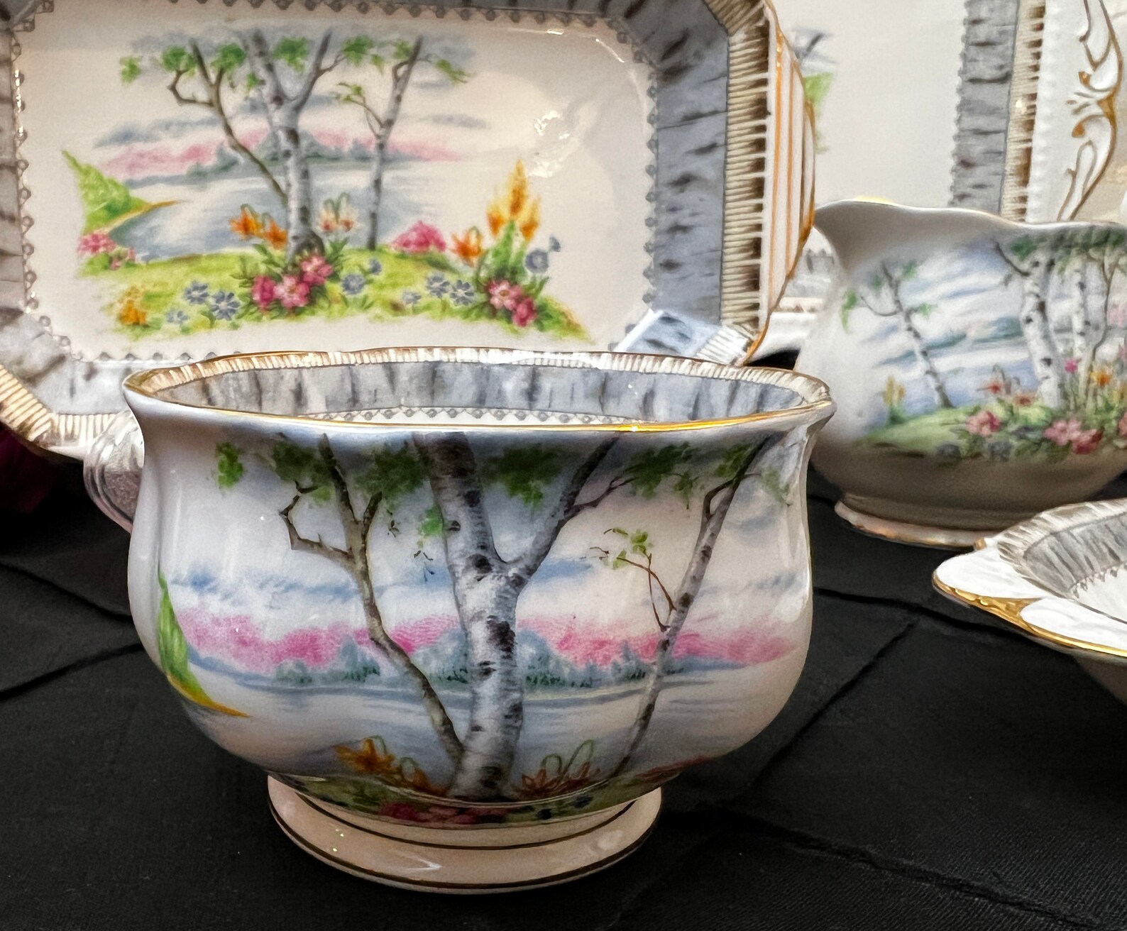 Vintage Royal Albert Silver Birch English Fine China Selection, Large ...