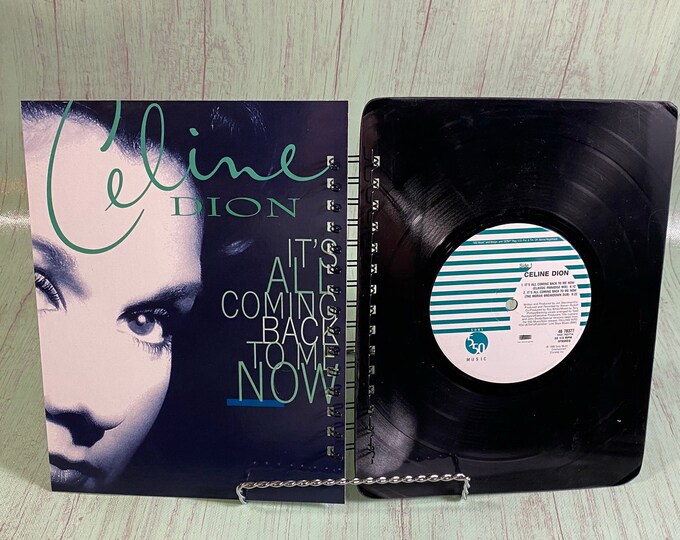 Celine Recycled Album Notebook, Vinyl Record Notebook, Record Journal ...