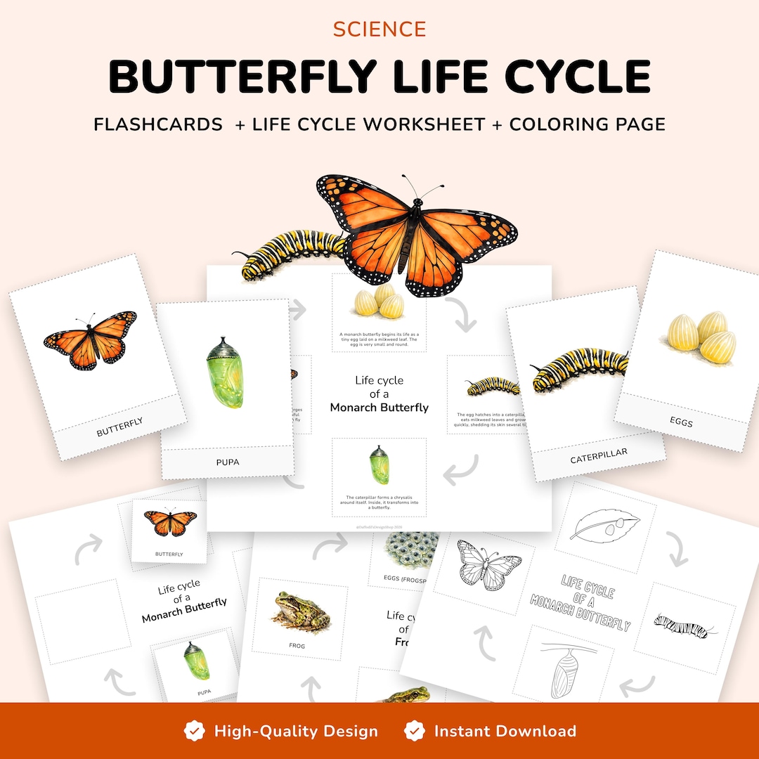Monarch Butterfly Life Cycle Flashcards, Montessori Science Activity ...