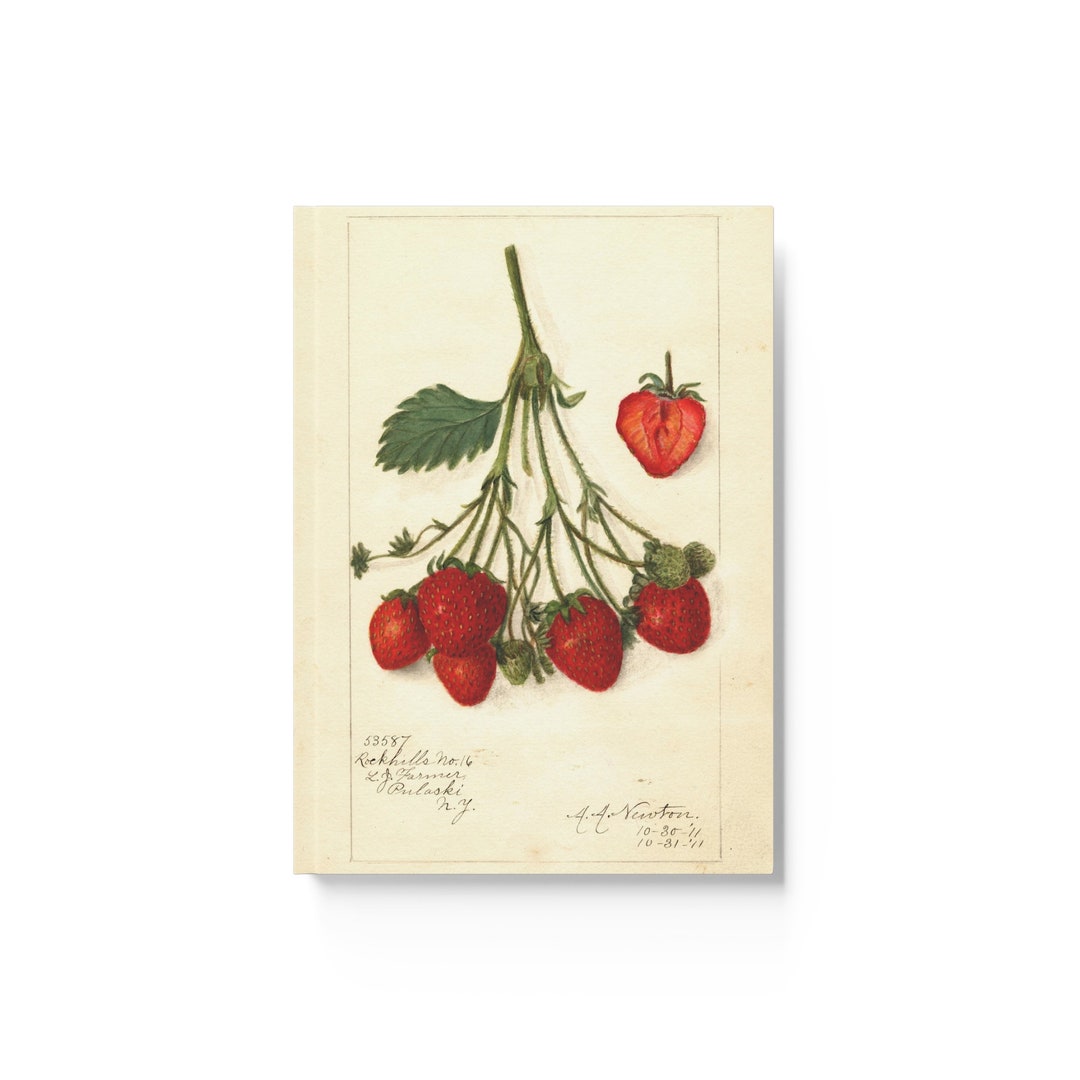 Strawberry Watercolour Illustration Hardback Notebook Journal ...