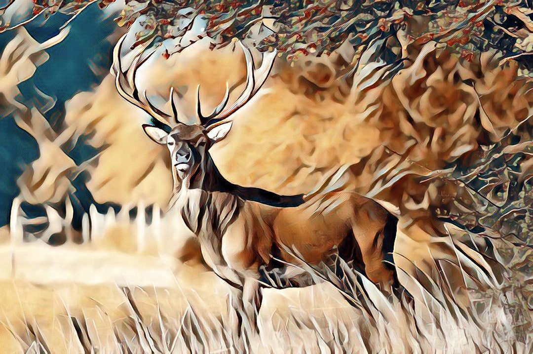 Stag, Digital Printout, Huntig Art - Etsy