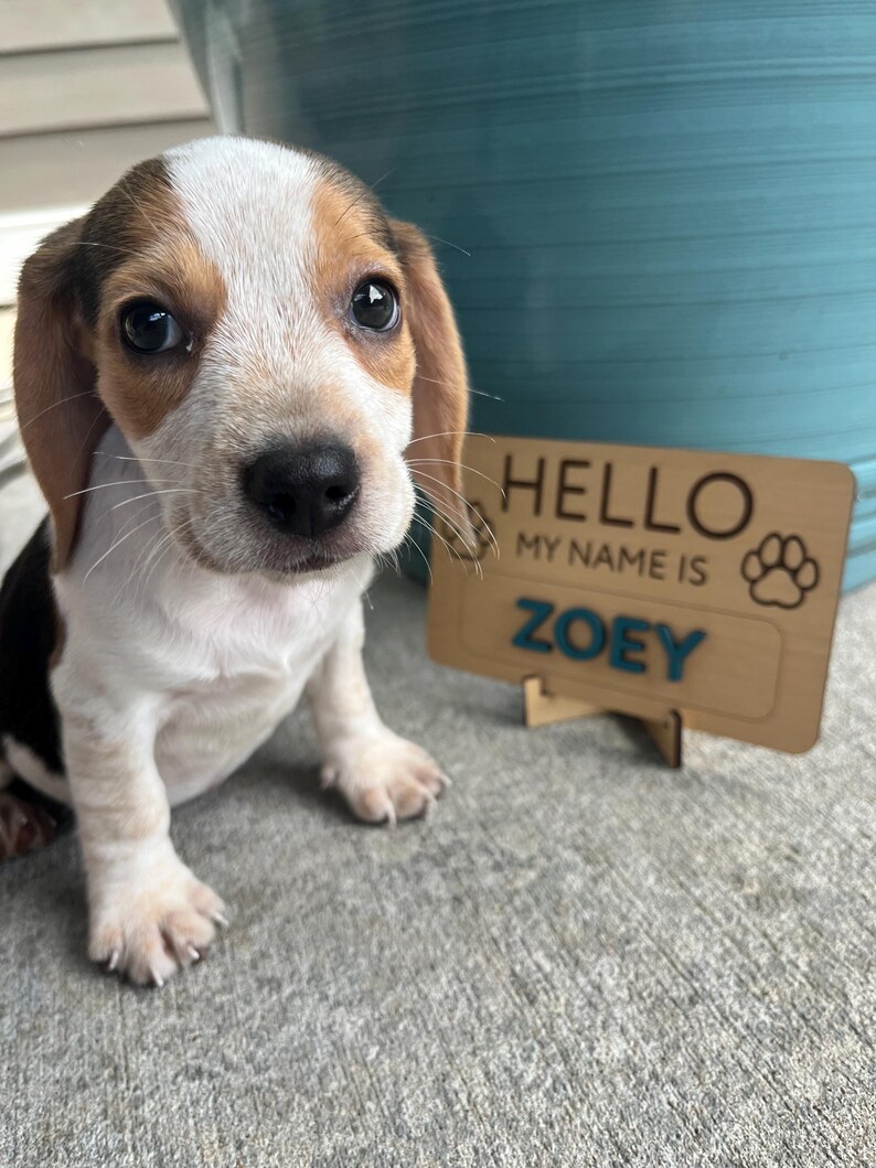 New Puppy Announcement Sign, Dog Announcement Sign, Custom New Dog Sign ...