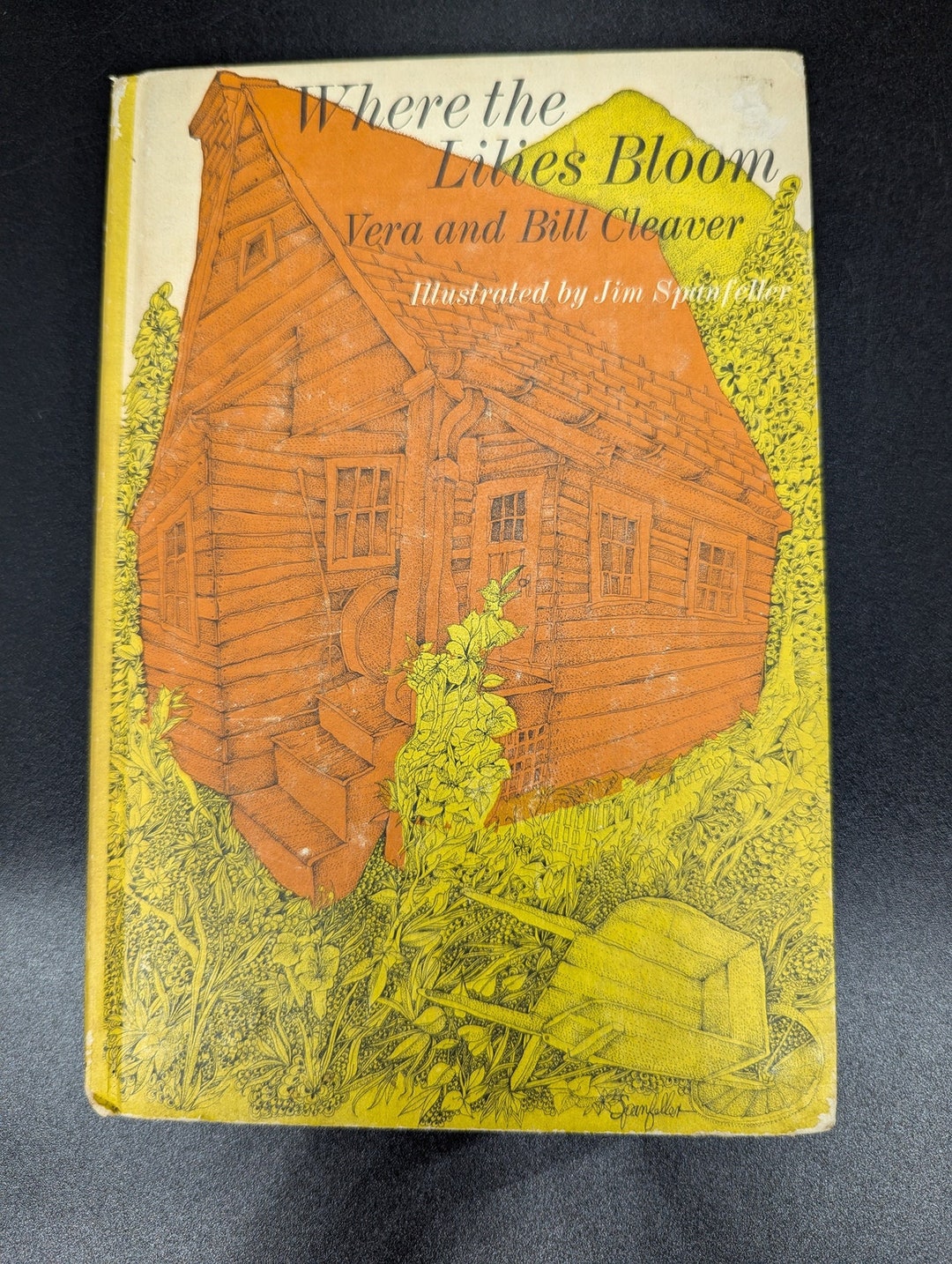 Vintage 1969 Hardcover "where the Lilies Bloom" Book by Vera and Bill ...