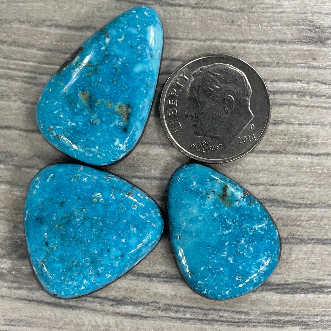 Sonoran Blue Jay Turquoise Cabs - Etsy