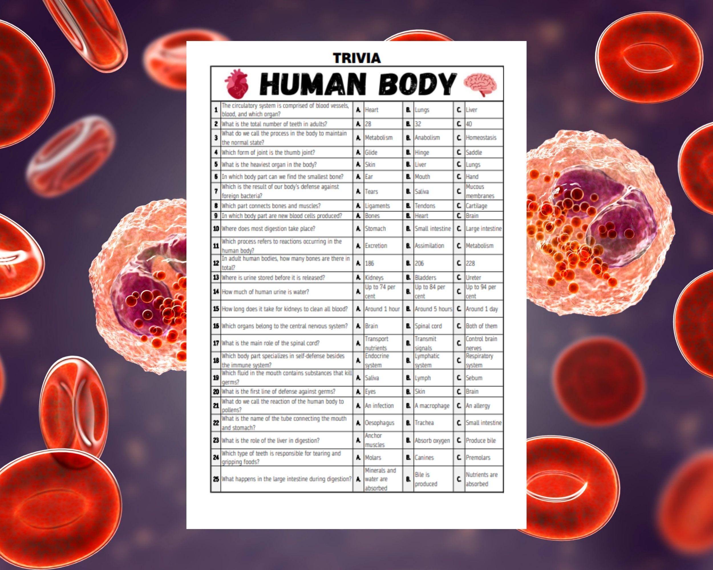Human Anatomy Trivia Quiz: Science & Physiology Game (digital Download ...