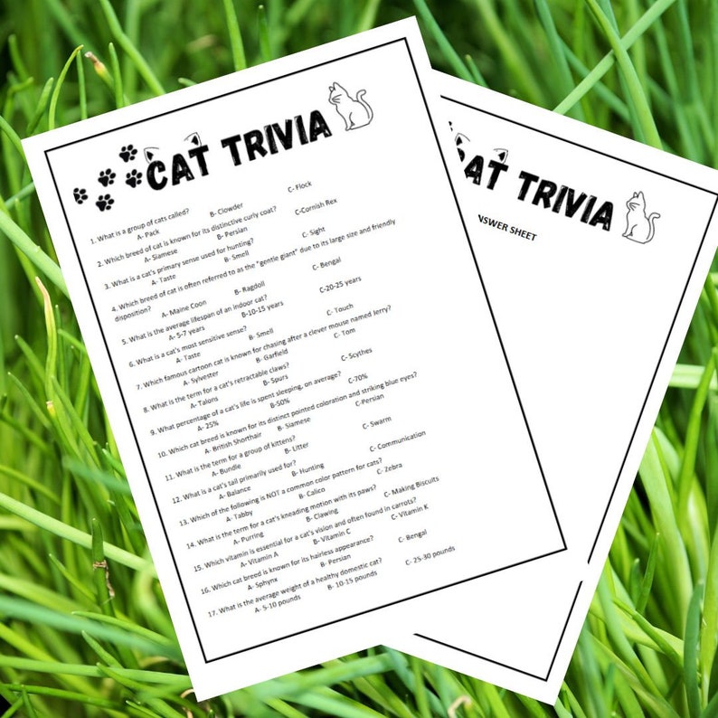 Cat Trivia Game Cat Trivia Printable Game Cat Lovers Game - Etsy