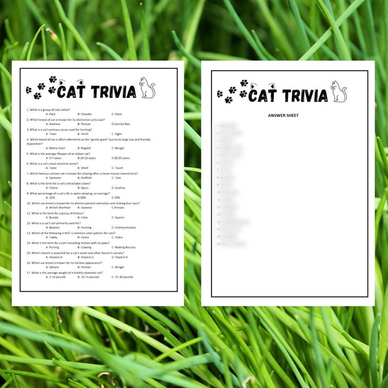 Cat Trivia Game Cat Trivia Printable Game Cat Lovers Game - Etsy