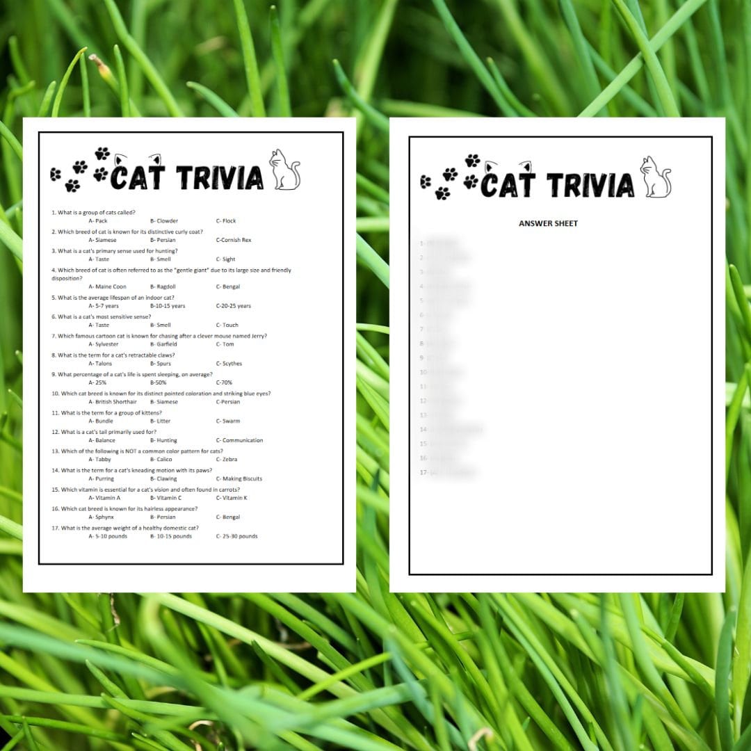 Cat Trivia Game Cat Trivia Printable Game Cat Lovers Game - Etsy