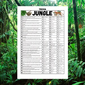 Jungle Trivia Game, Fun Family Quiz Night, Kids & Adults Friendly ...